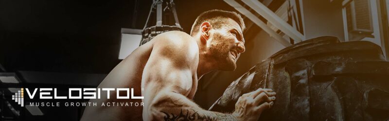 Nutrition21 | Download Velositol® Brochure - Nutrition21